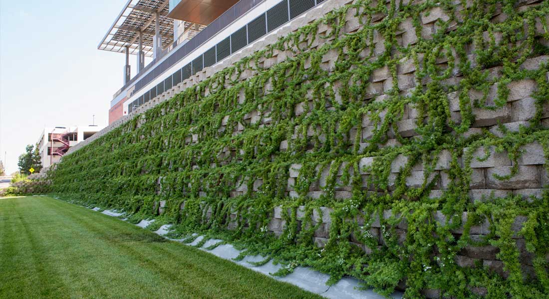 Build an Eco-Friendly Retaining Wall for a Greener Landscape