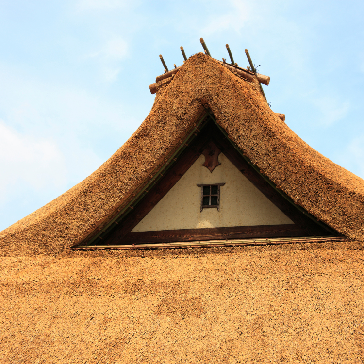 The Timeless Beauty of Thatched Roofs in Modern Homes - Elite ...
